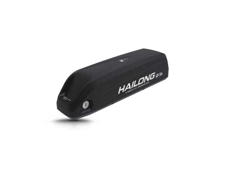 Hailong 48V Battery